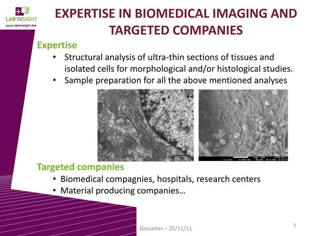 Electron microscopy dept - UNamur - Lab'insight Biomedical imaging ...