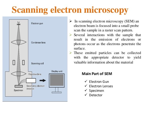 Scanning Electron microscopy