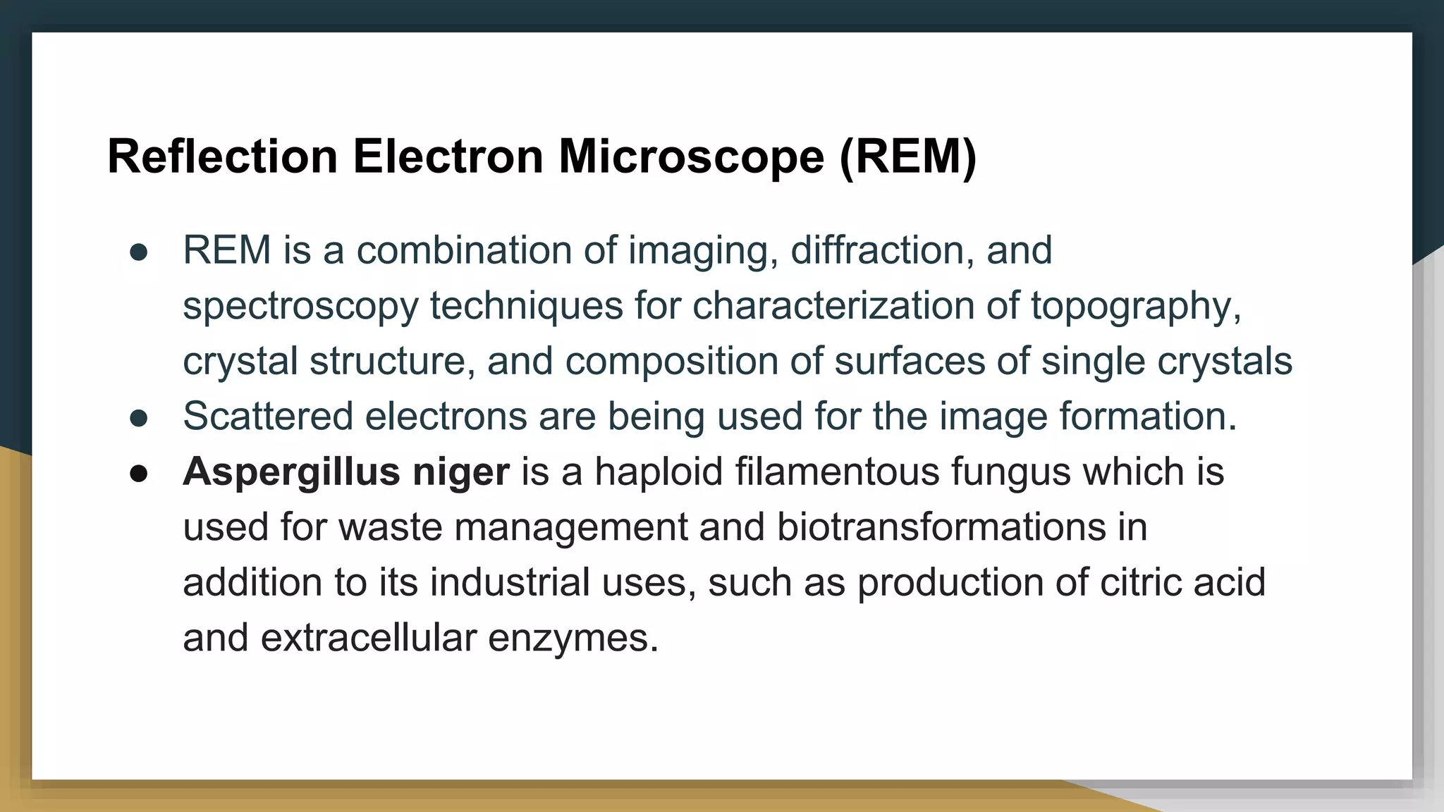 Electron microscopy to study the micro organisms | PPTX