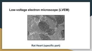 Electron microscopy to study the micro organisms | PPTX