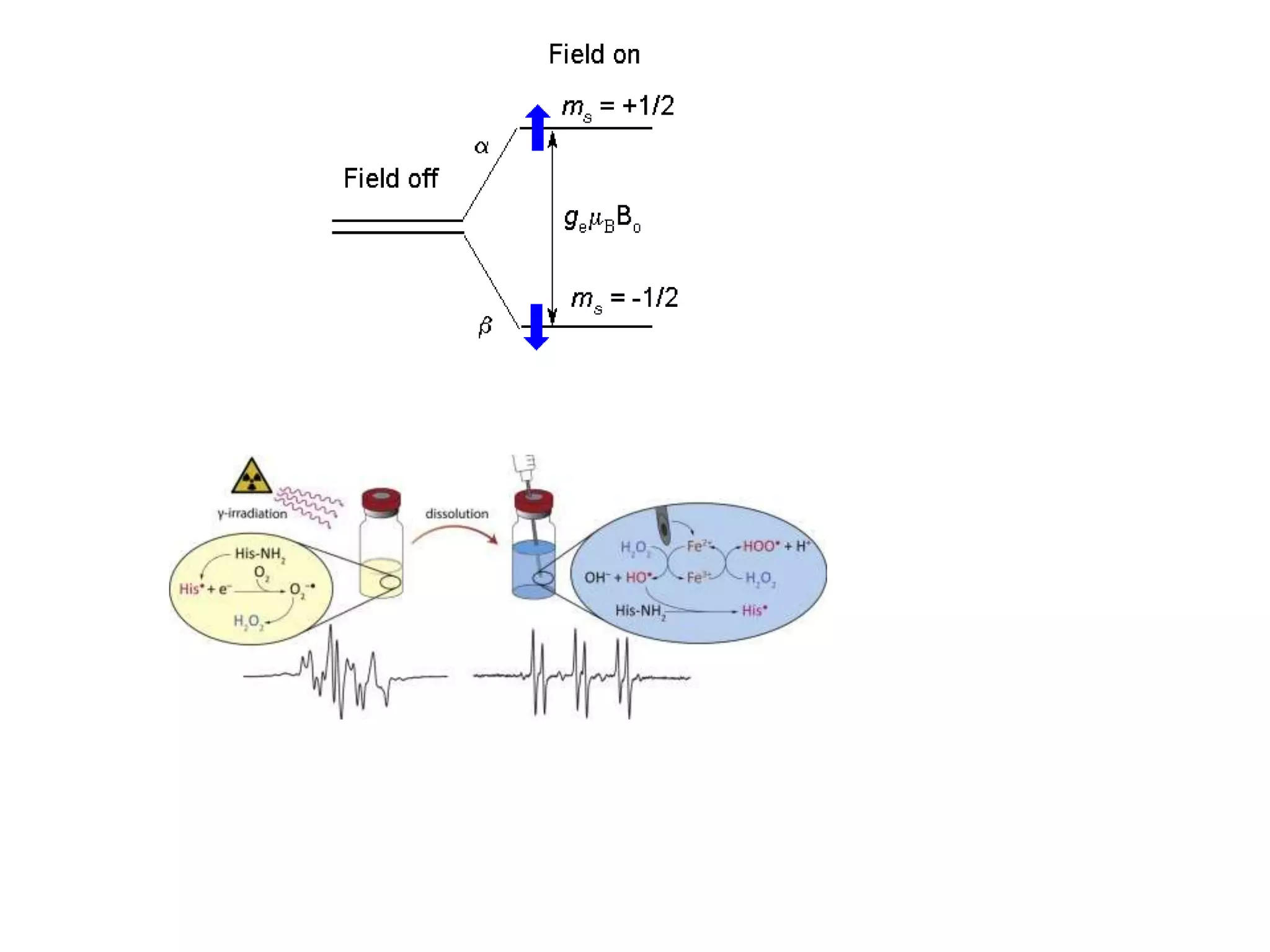 Electron paramagnetic resonance(epr) spectroscopy | PPTX
