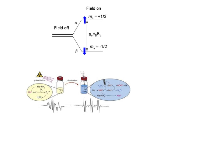 Electron paramagnetic resonance(epr) spectroscopy | PPTX | Physics ...