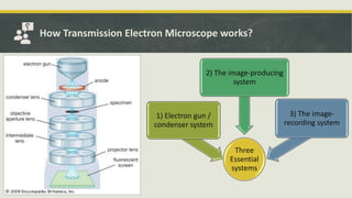 Electron sources | PDF