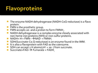 Electron transport chain | PPT