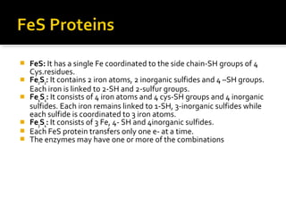 Electron transport chain | PPT