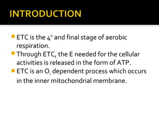 Electron transport chain | PPT