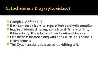 Electron transport chain | PPT
