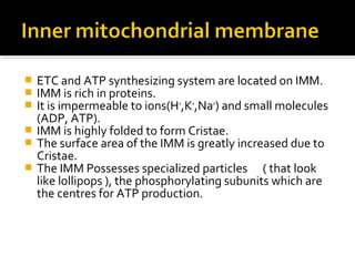 Electron transport chain | PPT