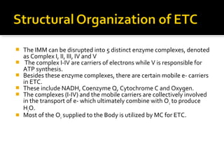 Electron transport chain | PPT