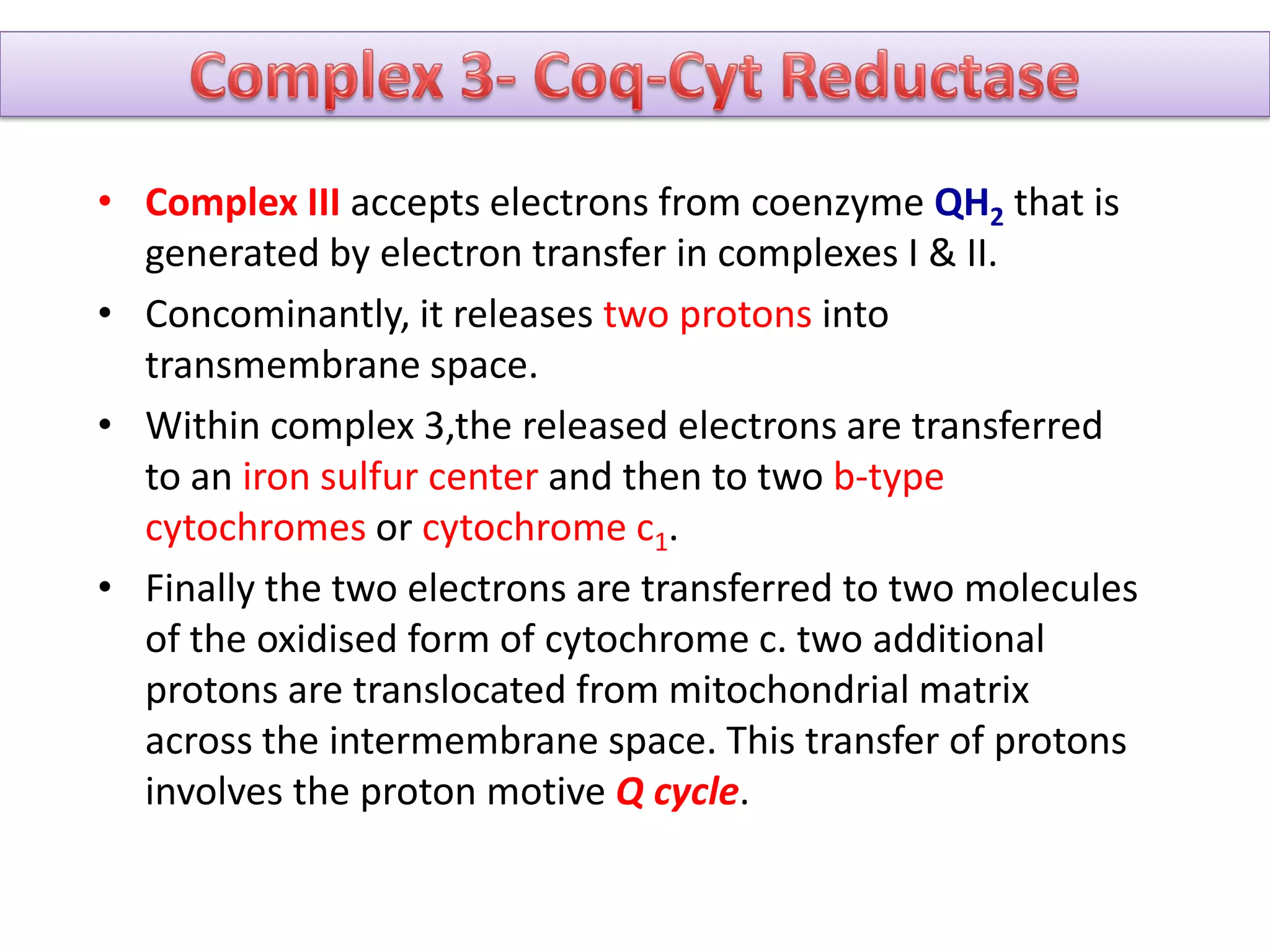 Electron transport chain | PDF