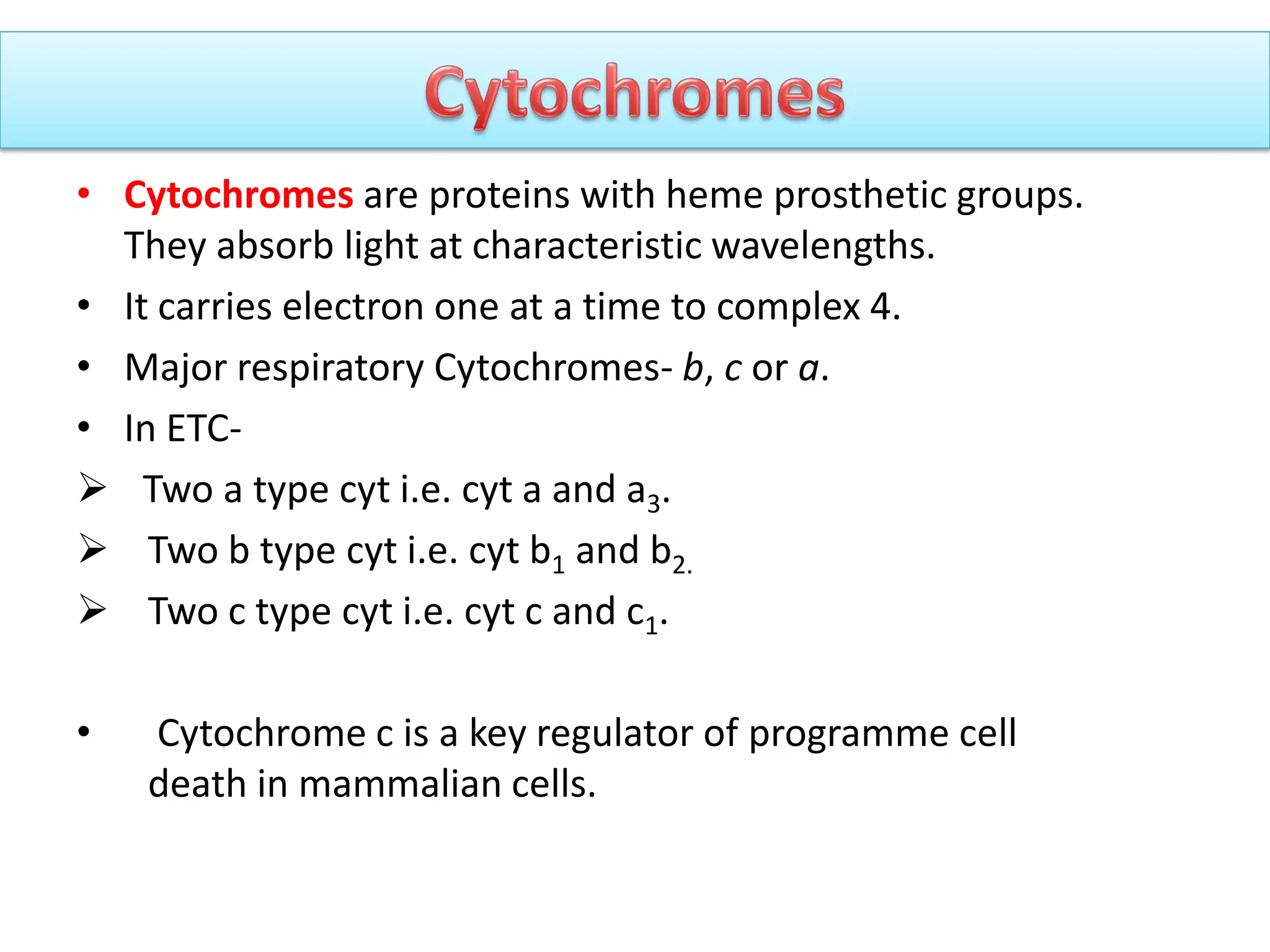 Electron transport chain | PDF