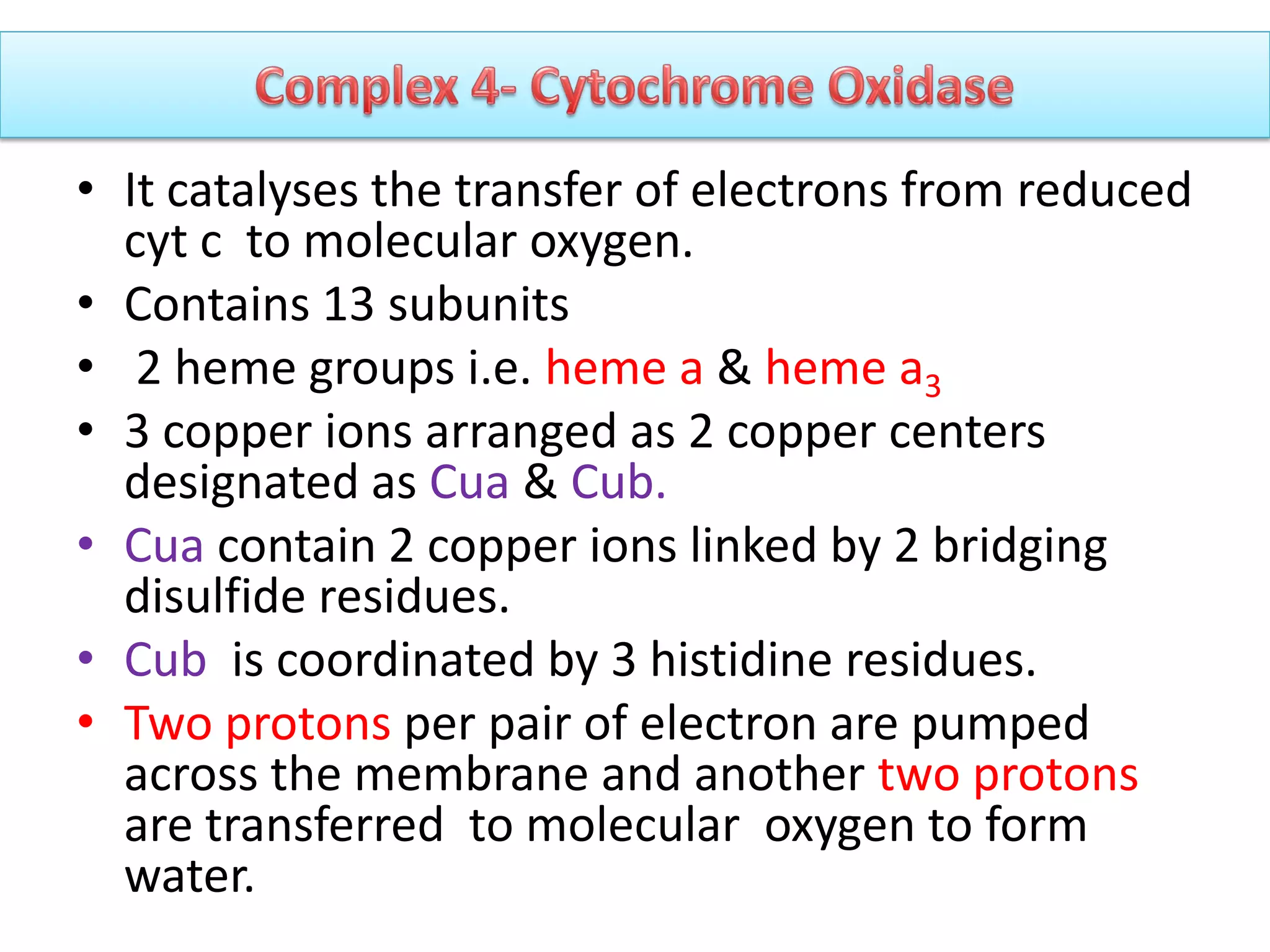 Electron transport chain | PDF
