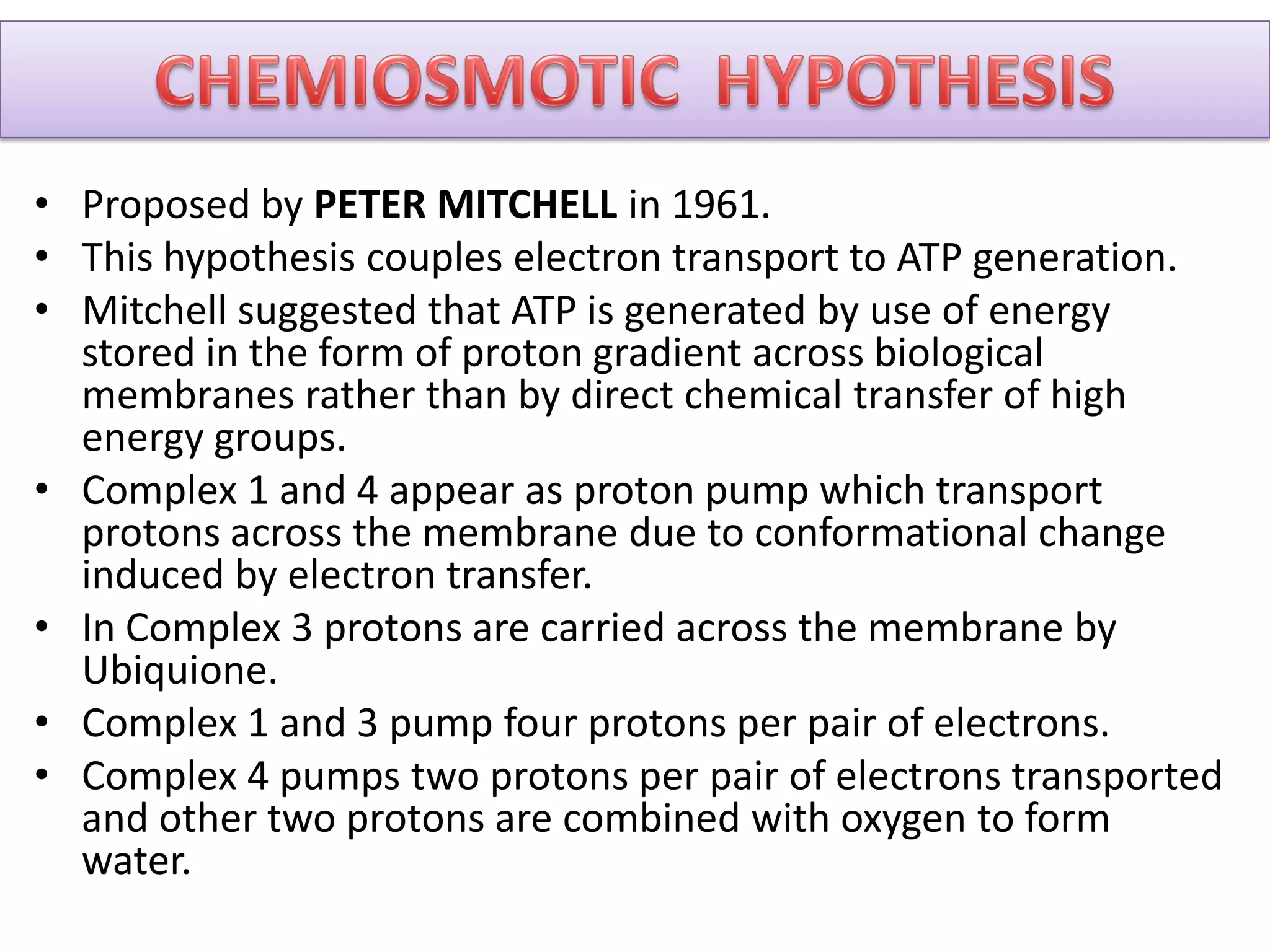 Electron transport chain | PDF