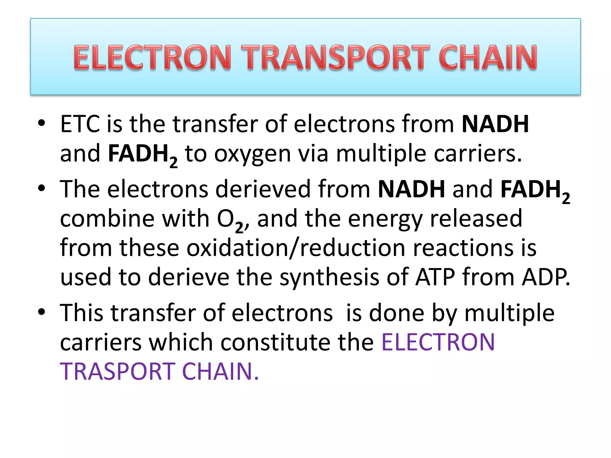 Electron transport chain | PDF