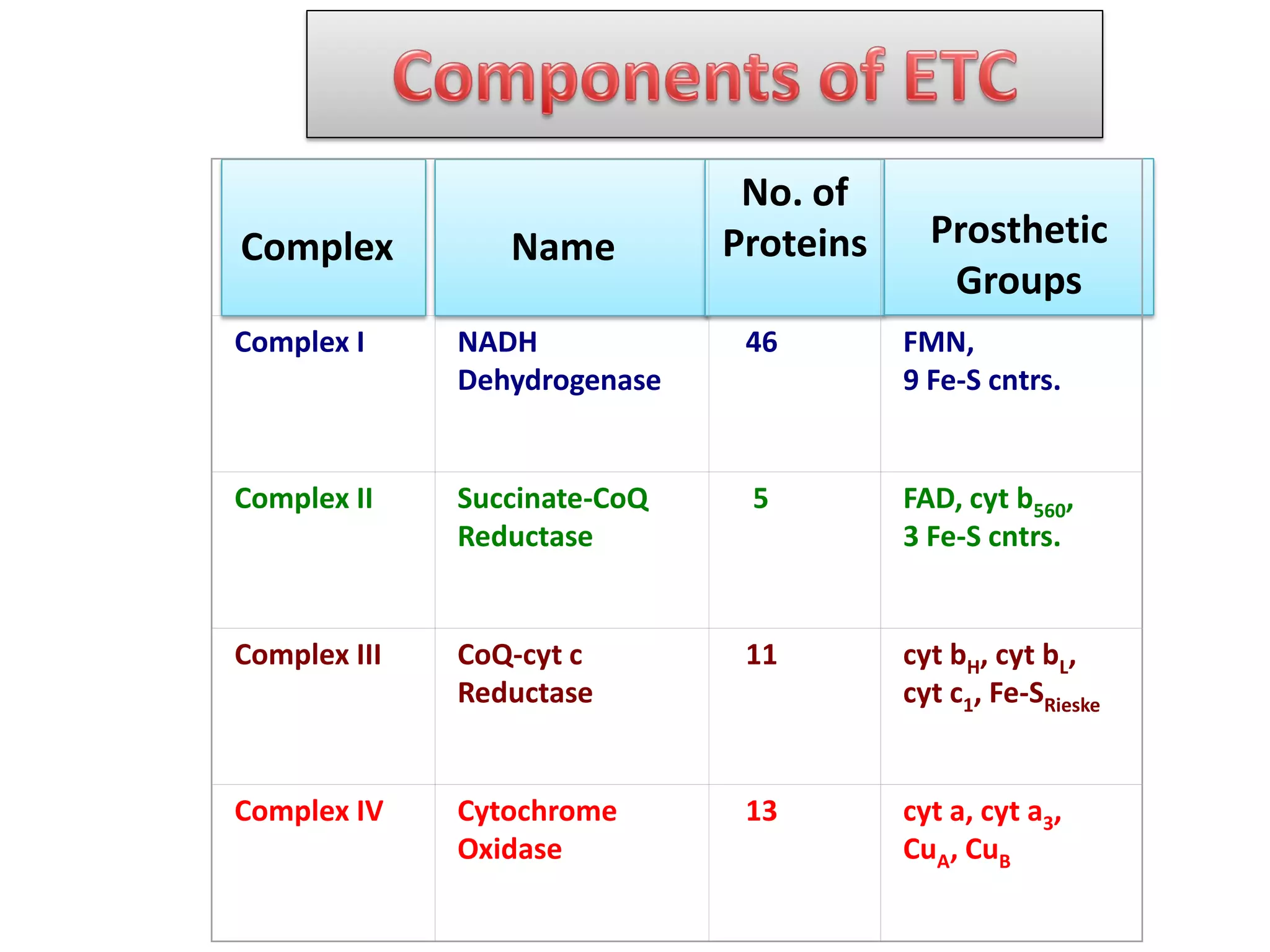 Electron transport chain | PDF