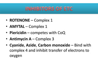 Electron transport chain | PDF