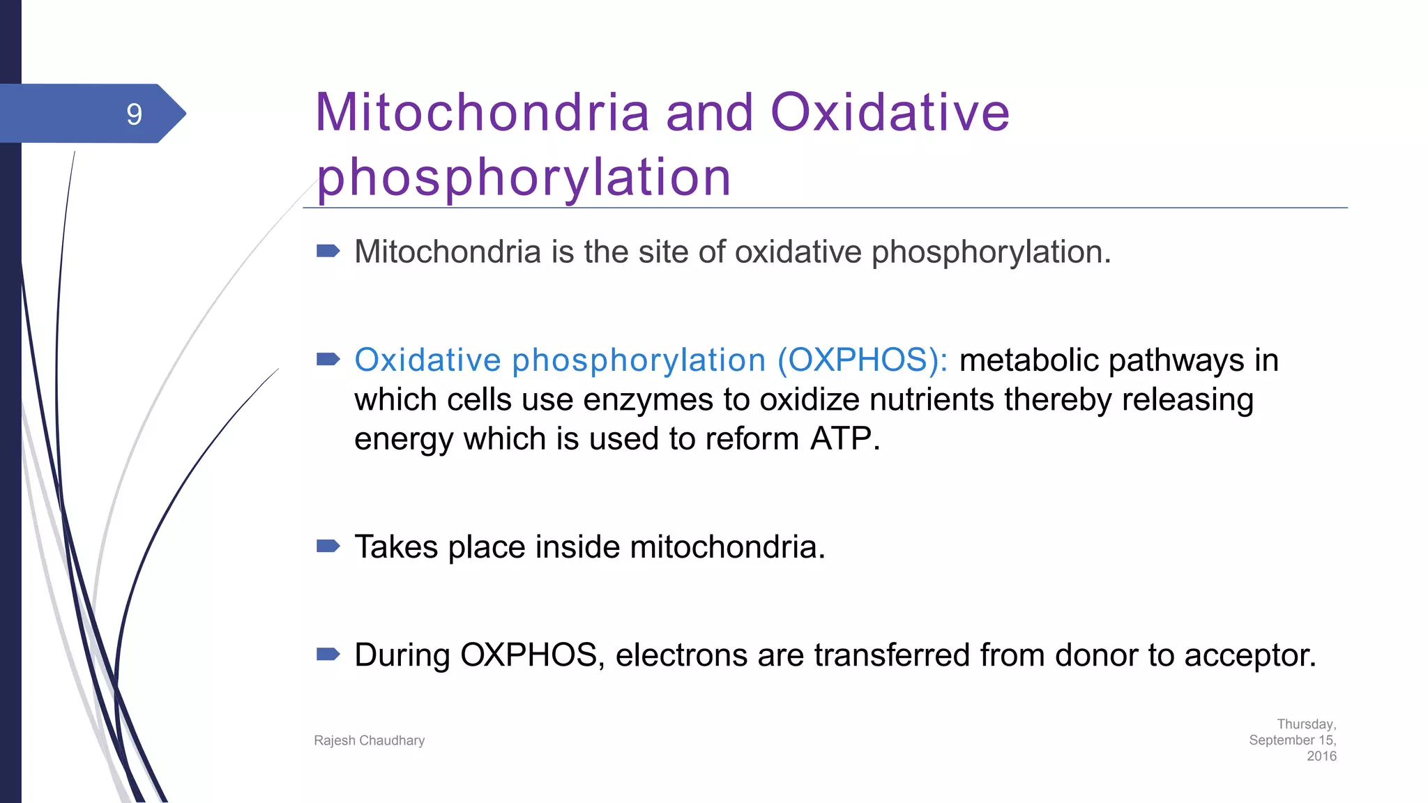 Electron transport chain | PDF