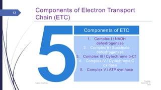 Electron transport chain | PDF