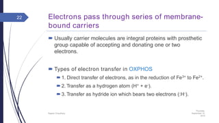 Electron transport chain | PDF
