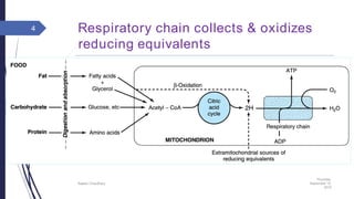 Electron transport chain | PDF