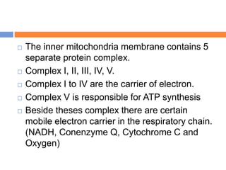 Electron Transport Chain | PPTX