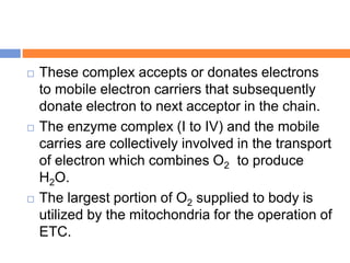 Electron Transport Chain | PPTX