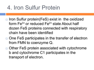Electron Transport Chain | PPTX
