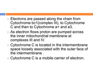 Electron Transport Chain | PPTX