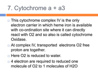 Electron Transport Chain | PPTX