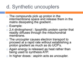 Electron Transport Chain | PPTX