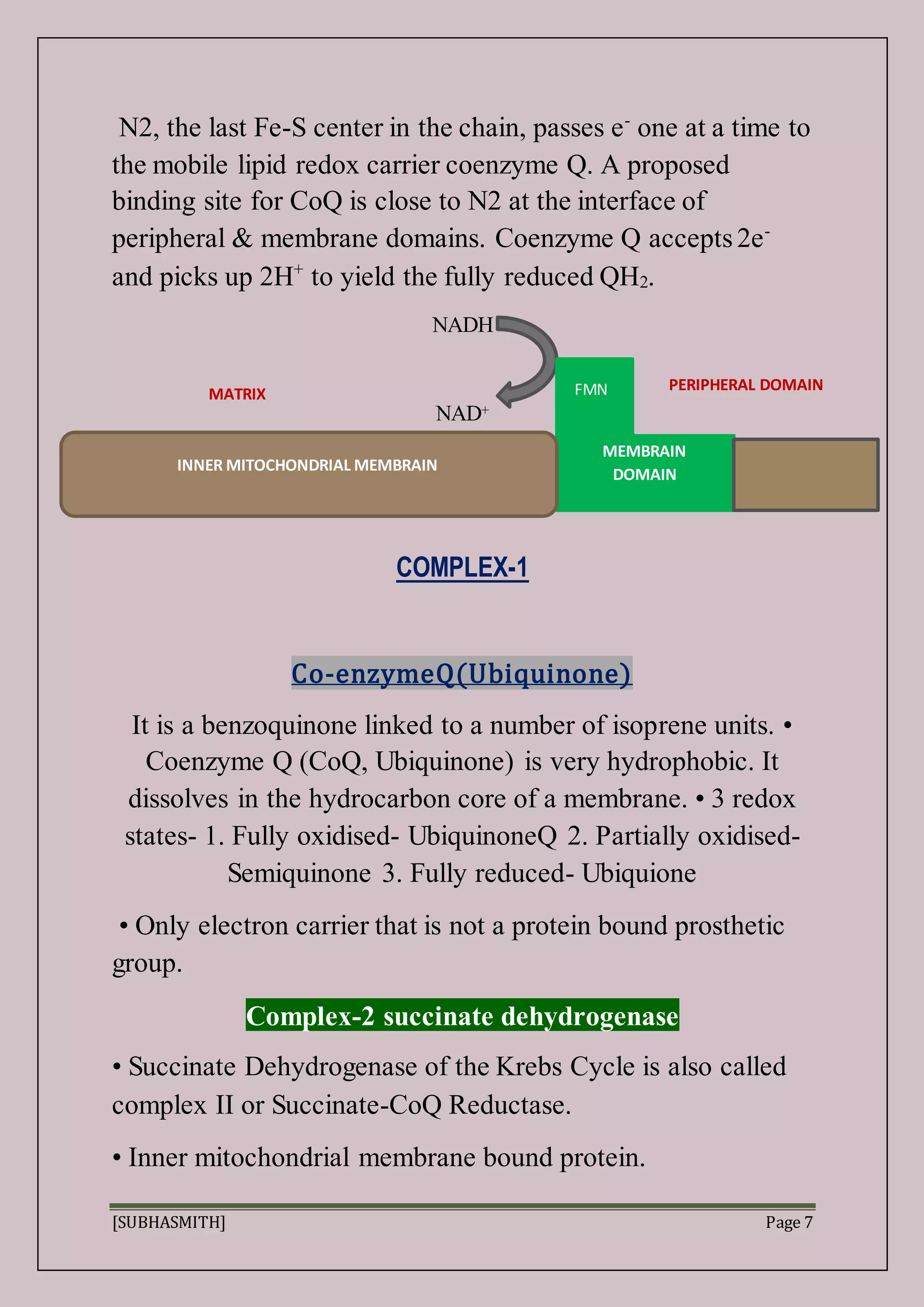 Electron transport chain | DOCX