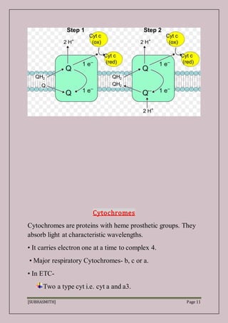 Electron transport chain | PDF