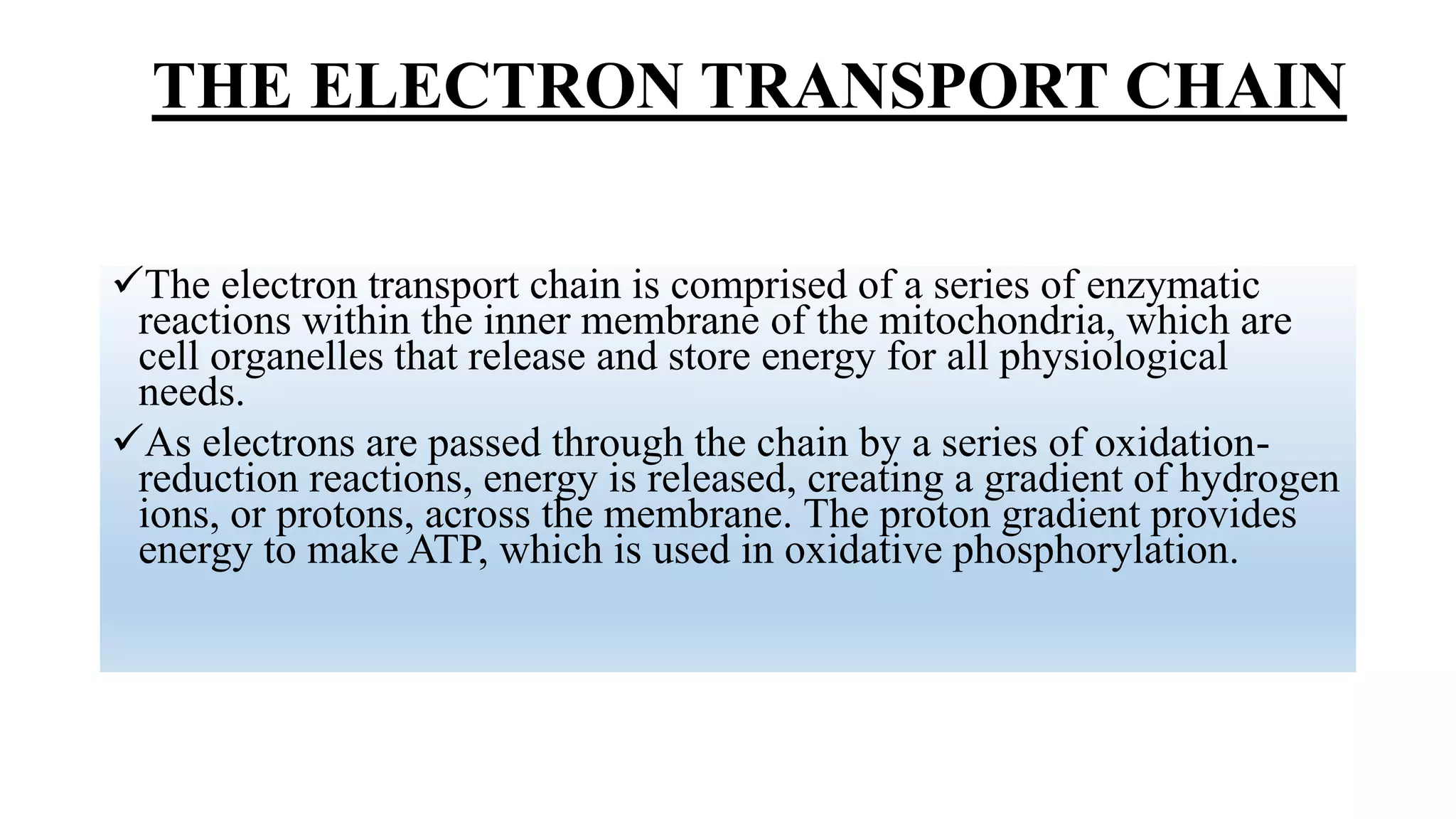ELECTRON TRANSPORT CHAIN | PPTX