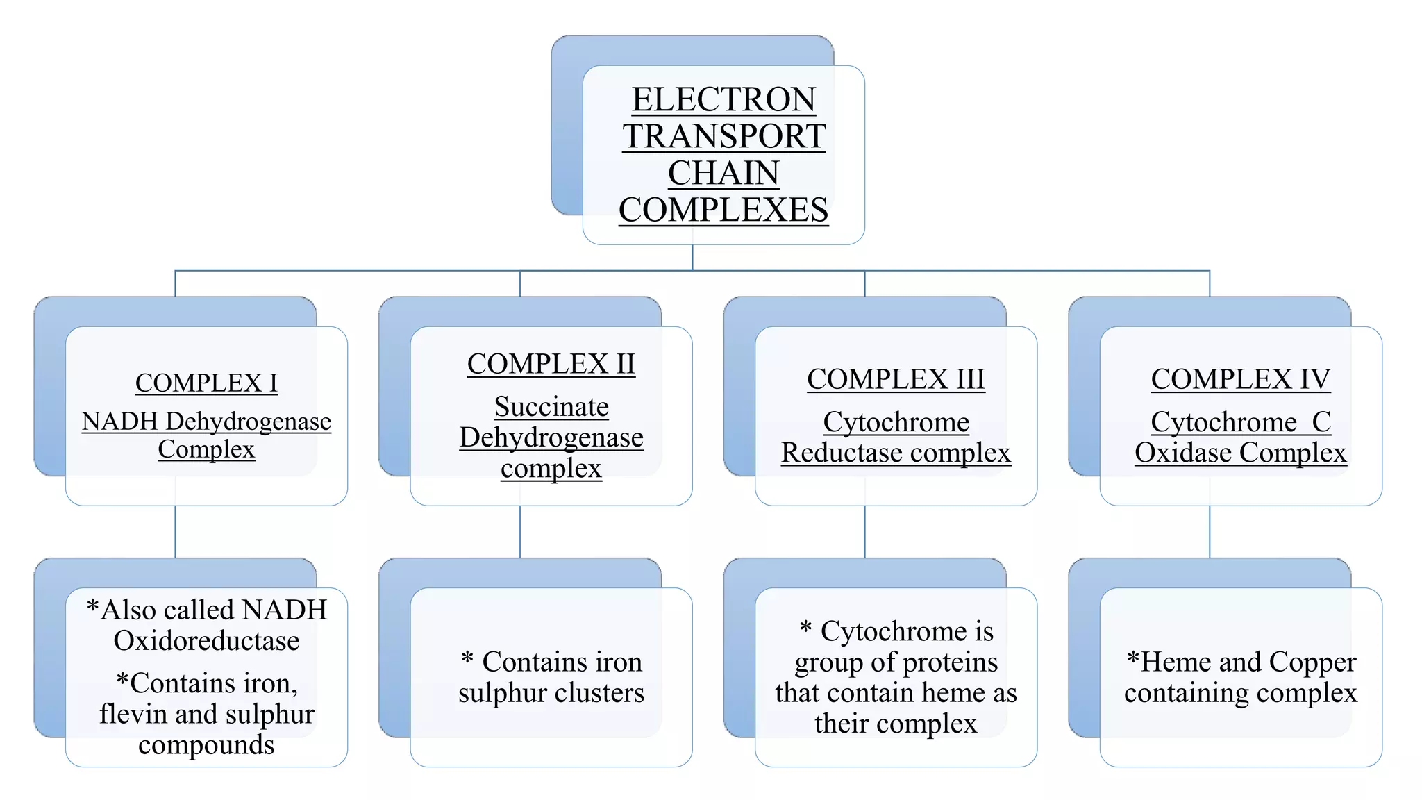 ELECTRON TRANSPORT CHAIN | PPTX