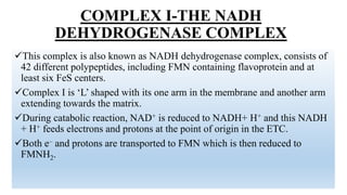 ELECTRON TRANSPORT CHAIN | PPTX