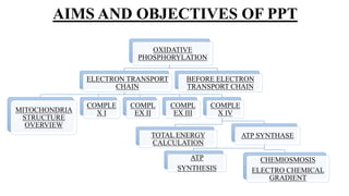ELECTRON TRANSPORT CHAIN | PPTX
