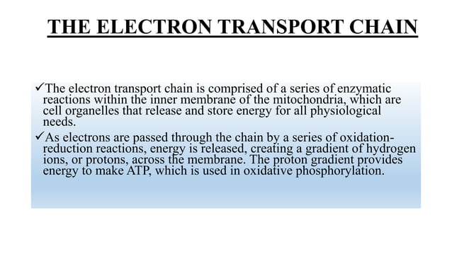 ELECTRON TRANSPORT CHAIN | PPTX