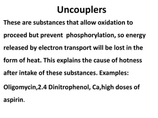 Electron Transport Chain.ppt