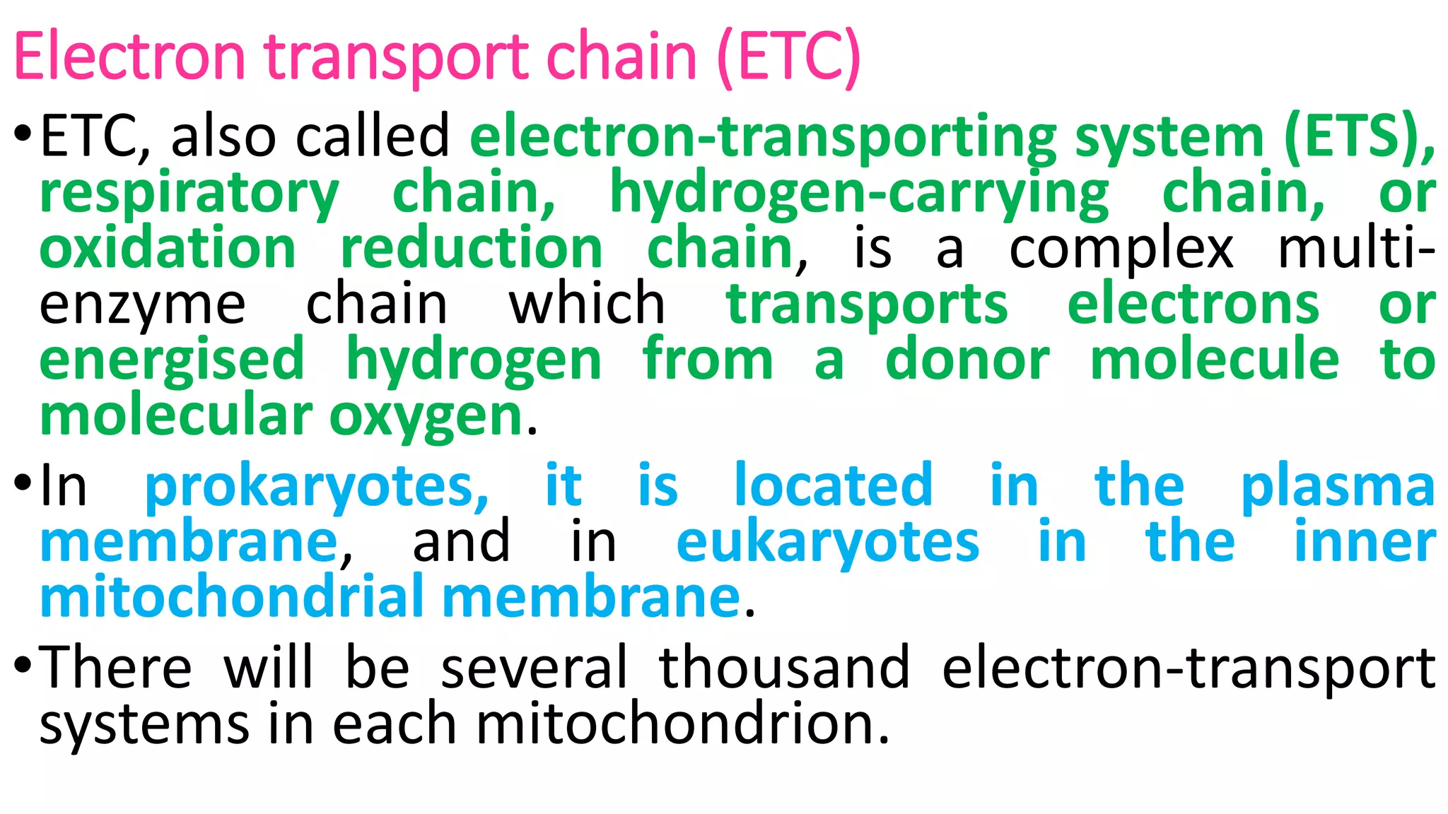 electron transport chain.pptx
