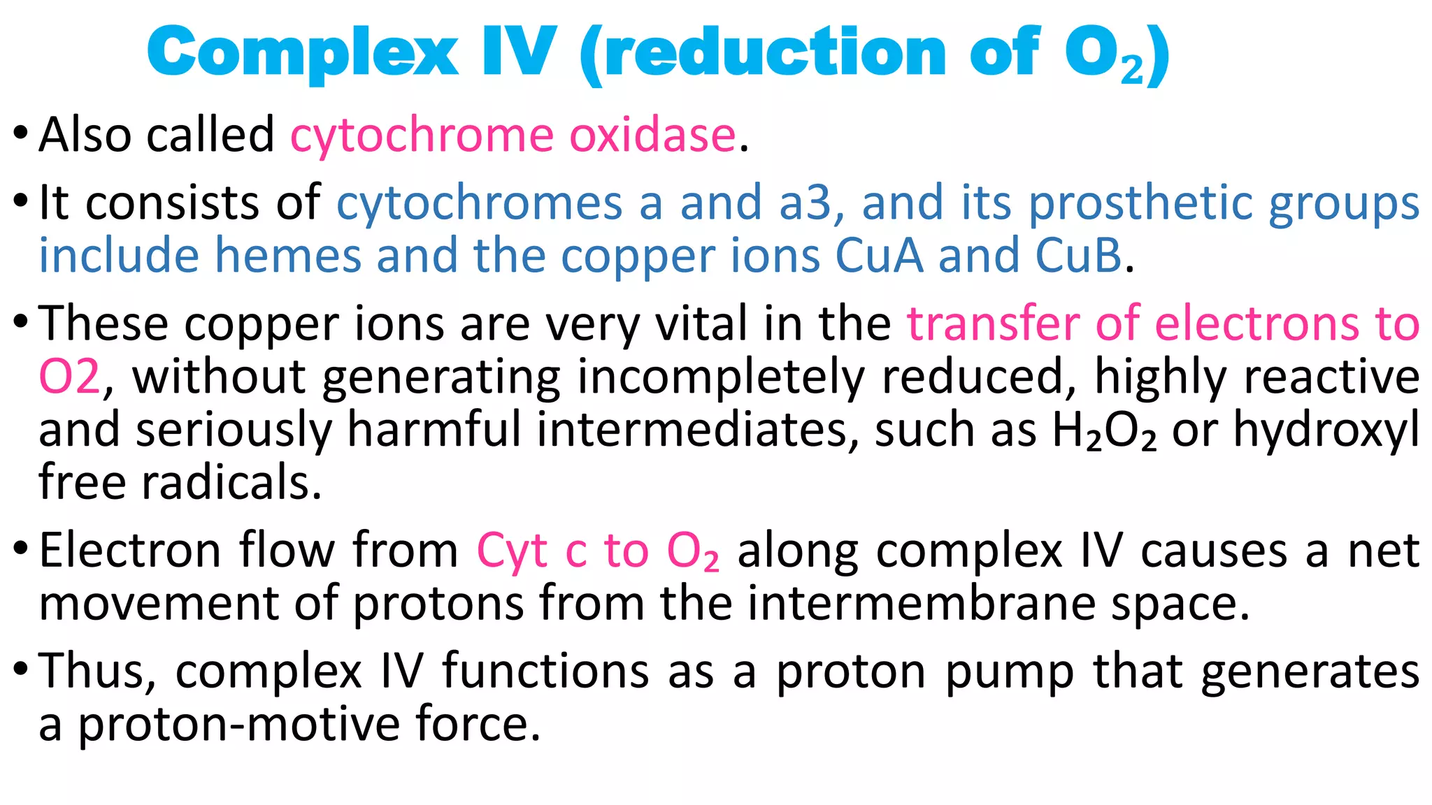 electron transport chain.pptx