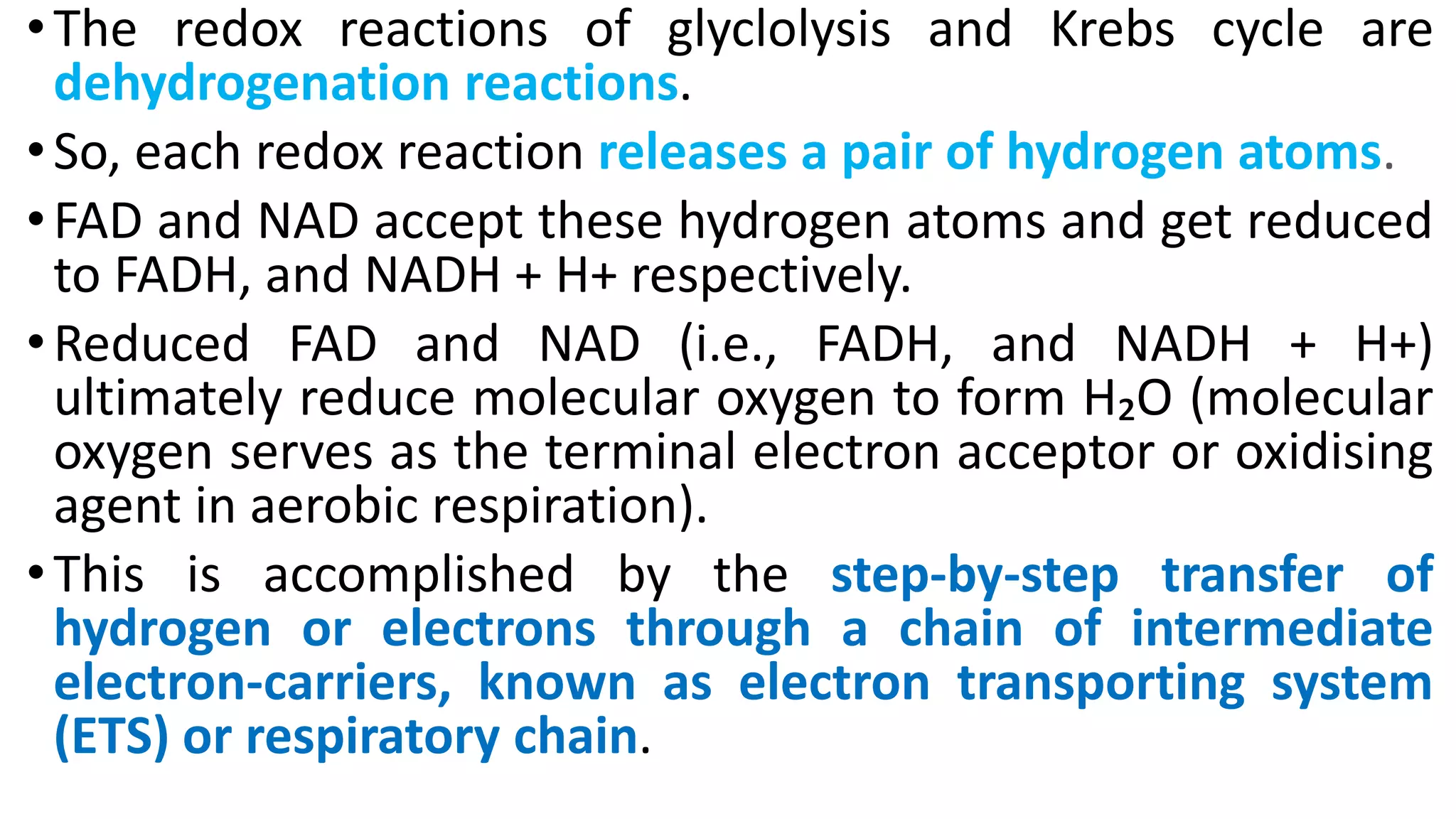 electron transport chain.pptx