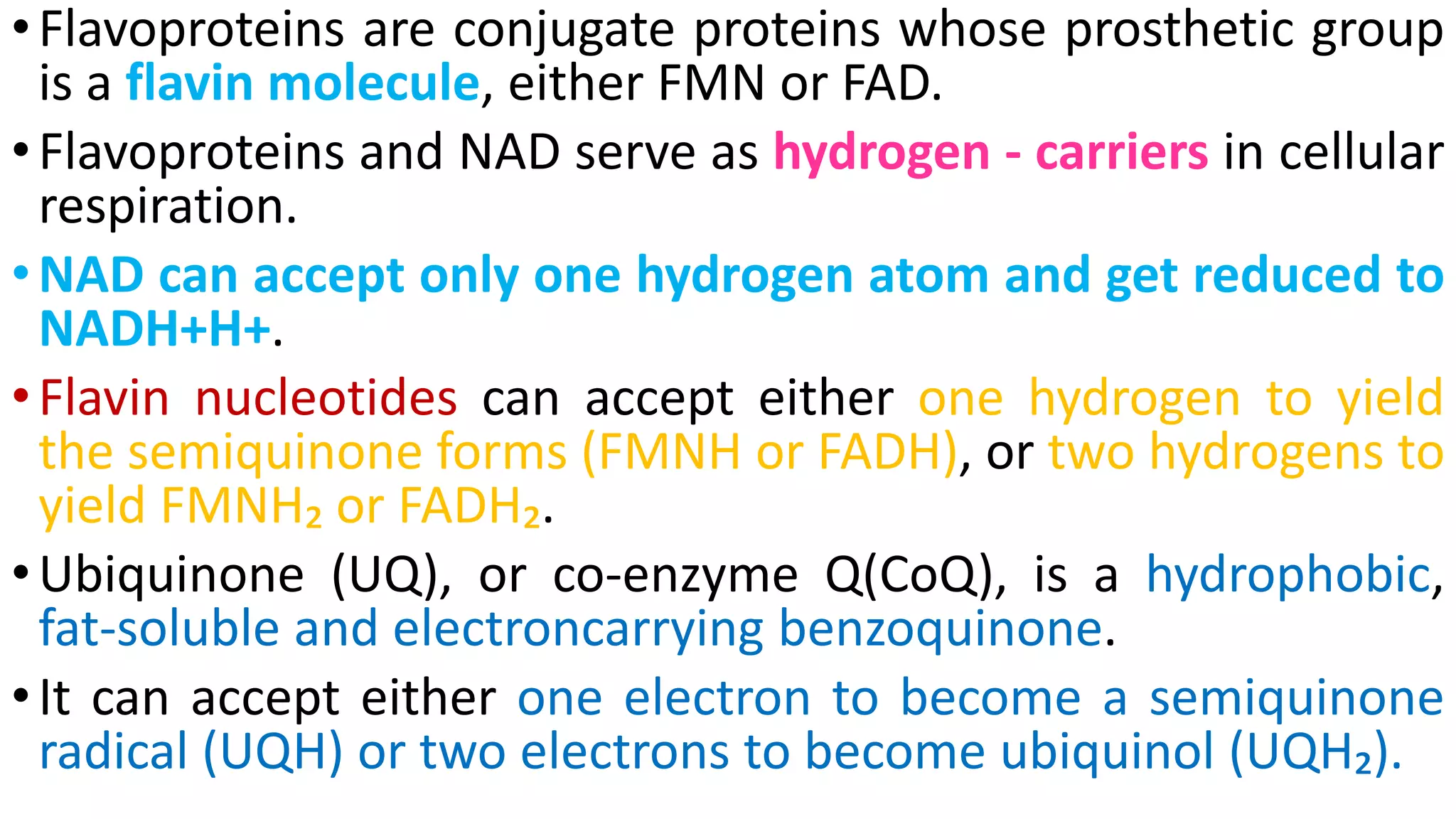 electron transport chain.pptx