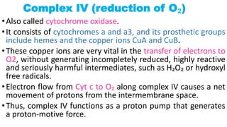 electron transport chain.pptx