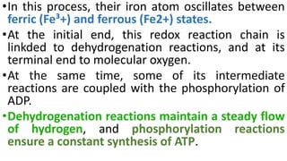 electron transport chain.pptx