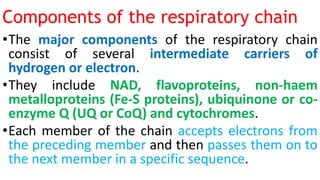 electron transport chain.pptx