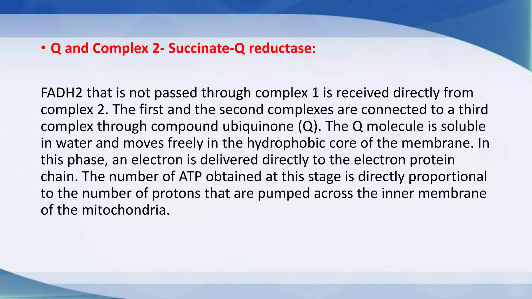 Electron Transport Chain.07.pptx