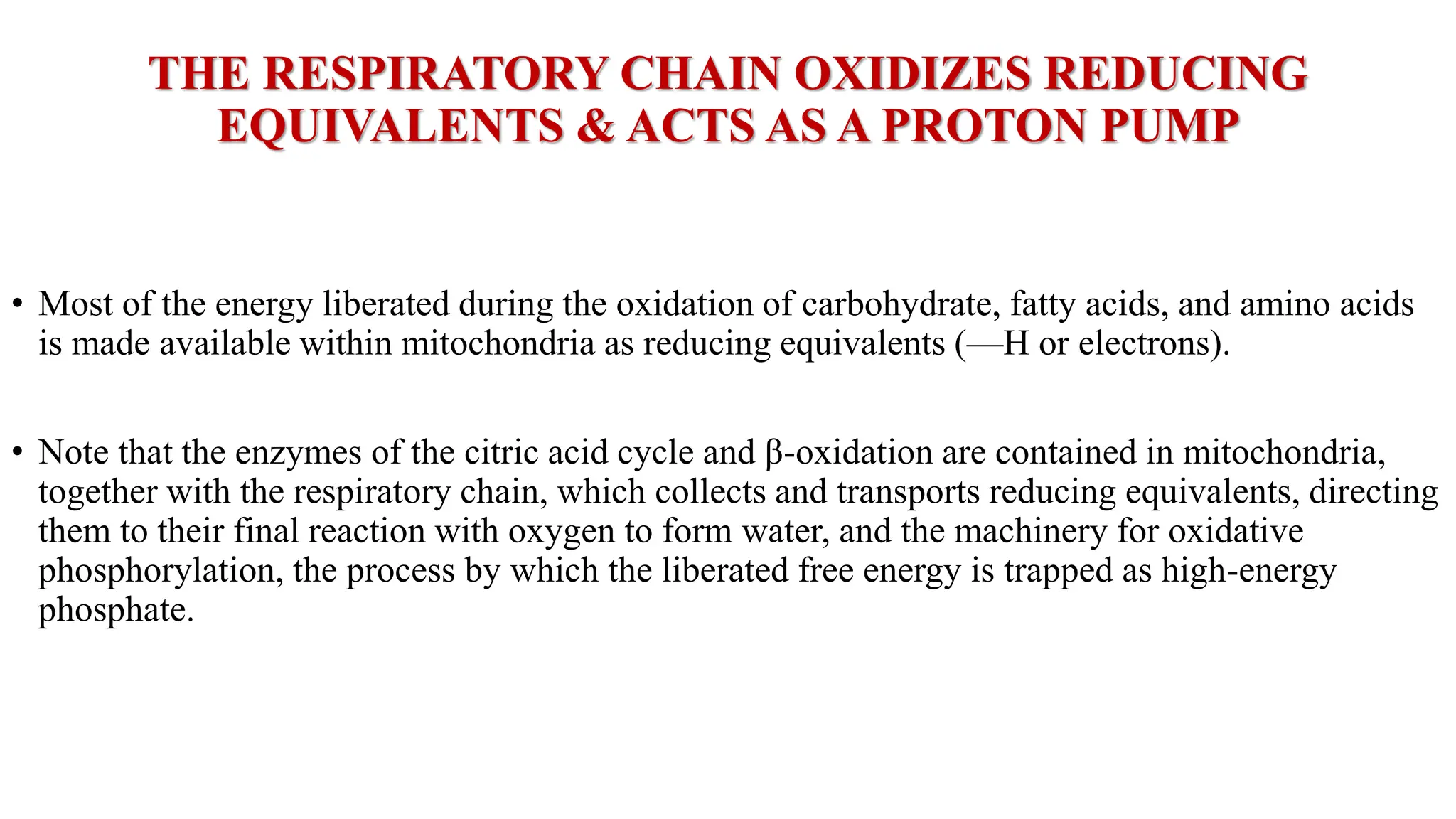 Electron Transport Chain: The respiratory Chain & Oxidative ...
