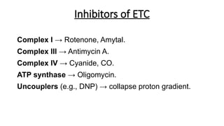 ELECTRON TRANSPORT CHAIN biochemistry med | PPTX