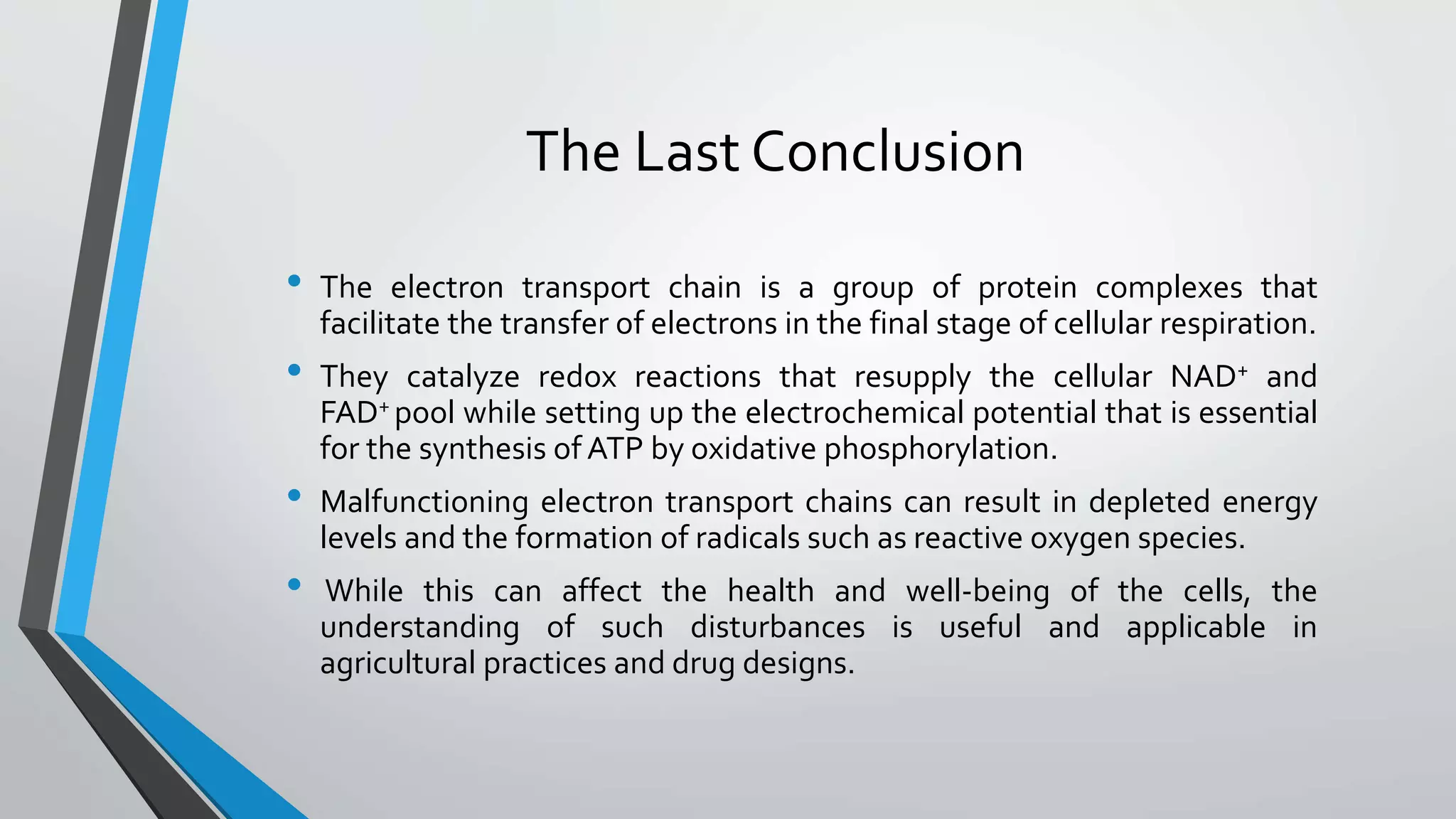 Electron Transport Chain - By Muntaha-Iqbal.pptx
