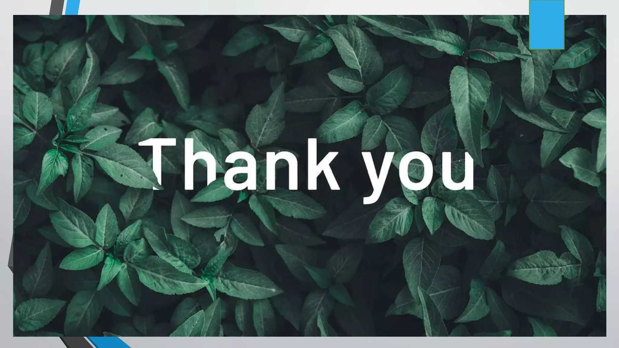 Electron Transport Chain - By Muntaha-Iqbal.pptx